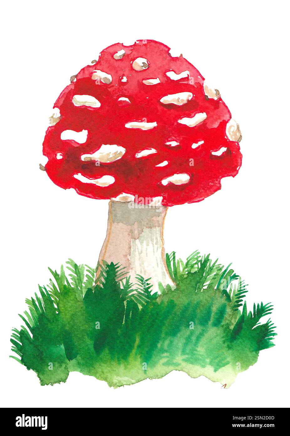 Fly agaric mushroom. Hand drawn watercolour illustration Stock Photo ...