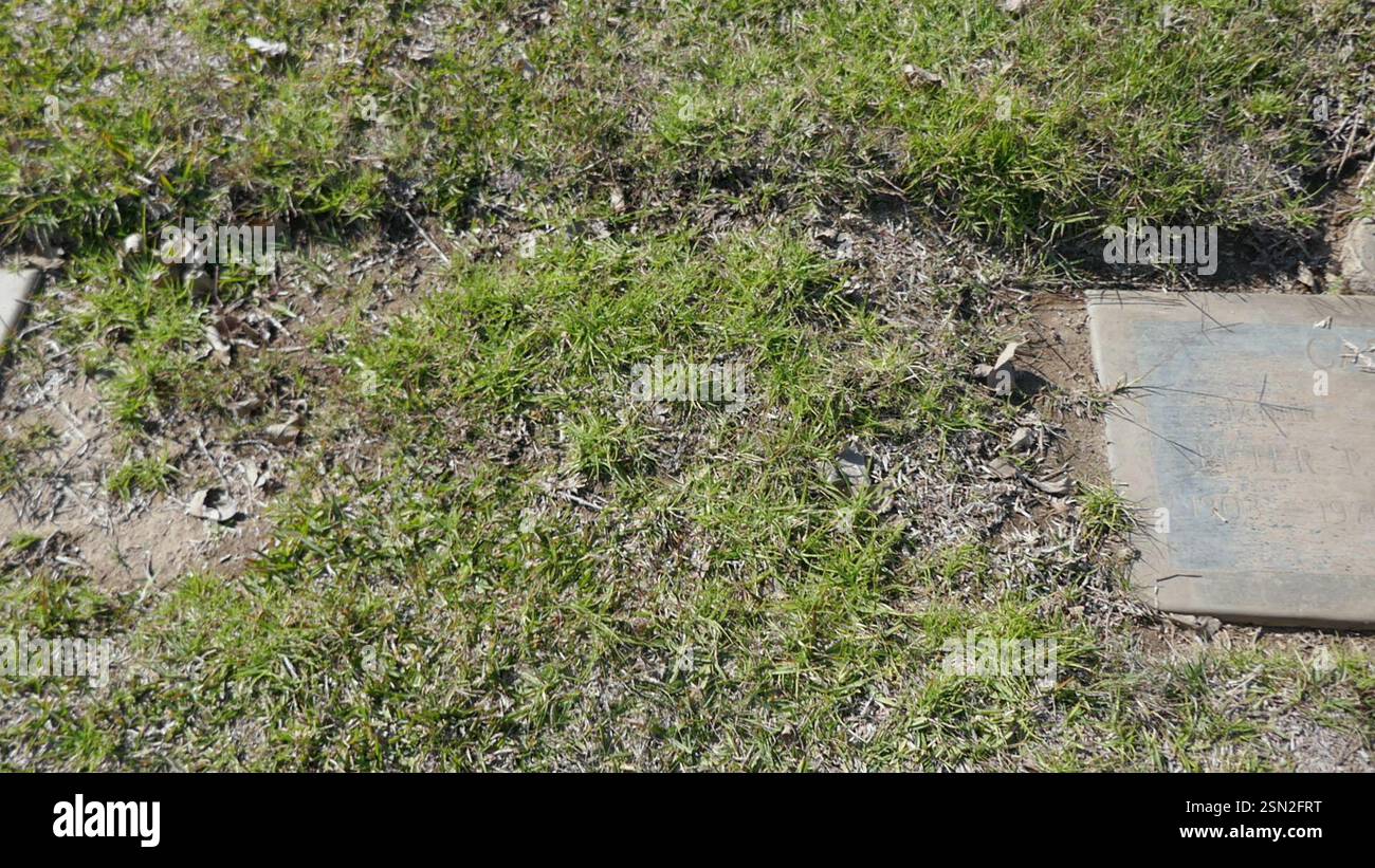 Culver City, California, USA 11th February 2025 Actor Jack Mulhall ...