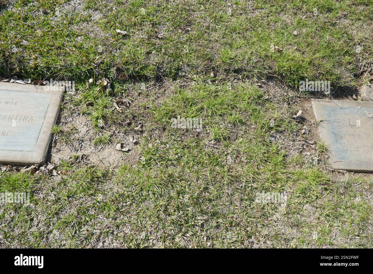 Culver City, California, USA 11th February 2025 Actor Jack Mulhall ...