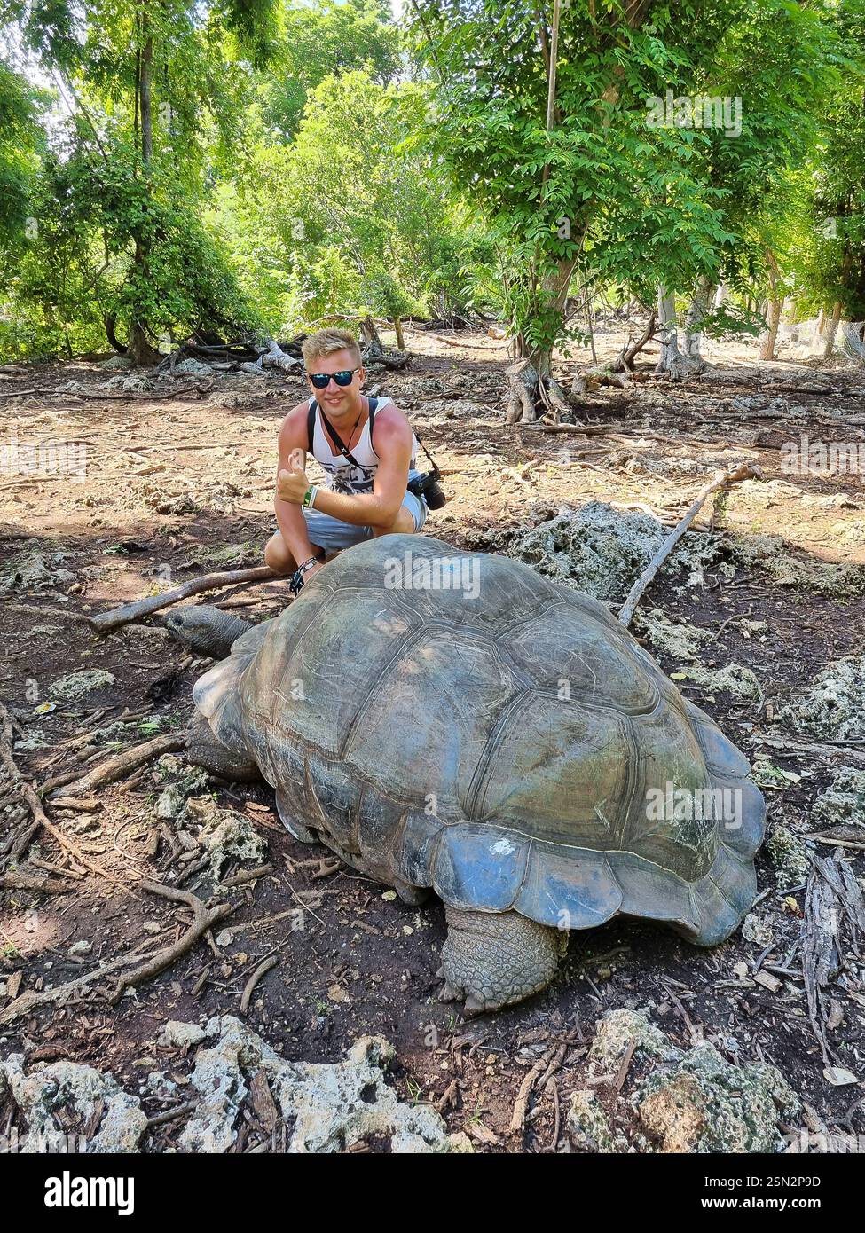 An unforgettable and breathtaking interaction with a giant tortoise in ...