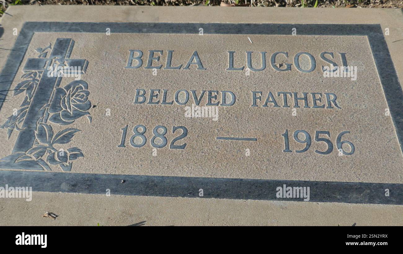 Culver City, California, USA 11th February 2025 Actor Bela Lugosi Grave ...