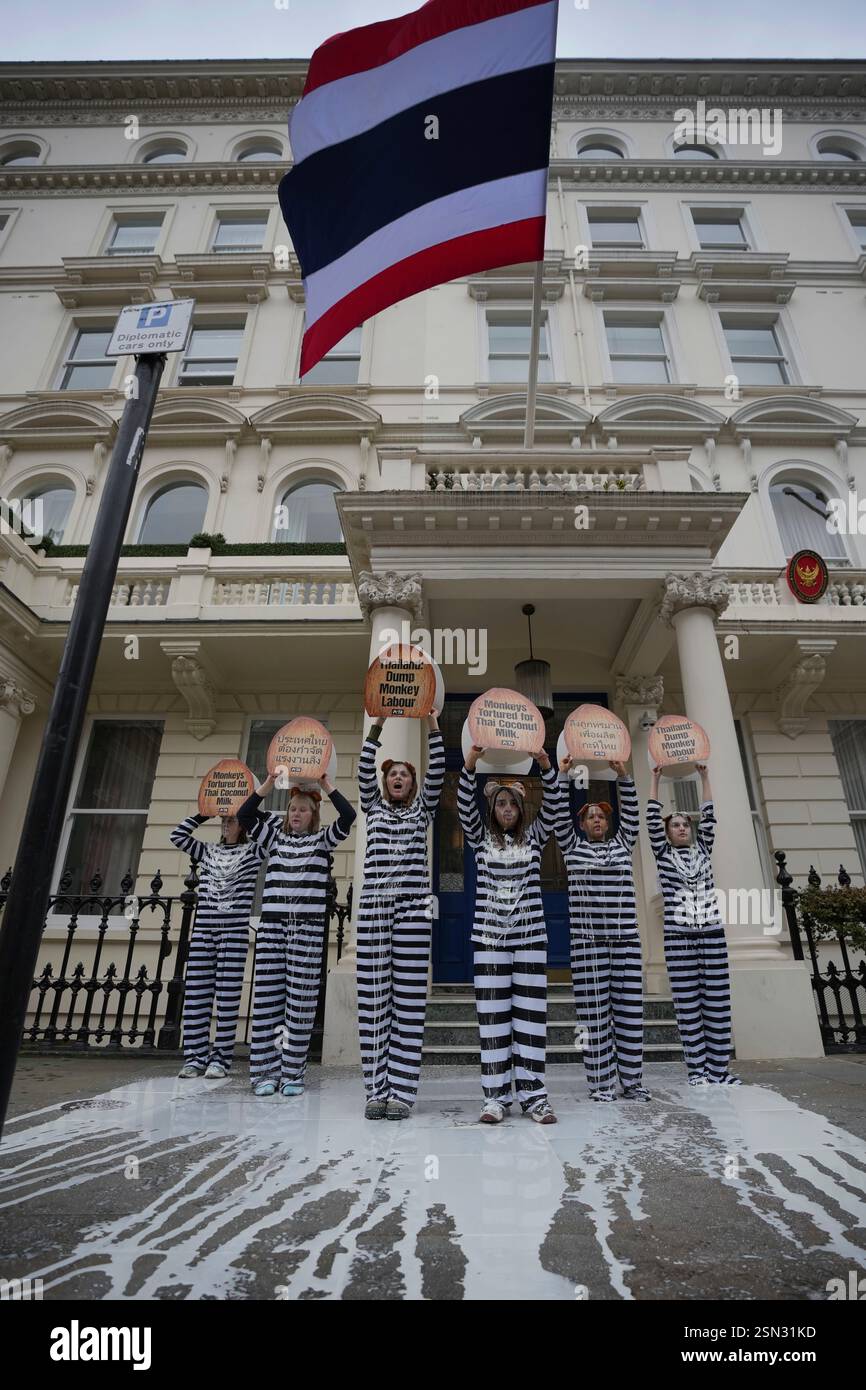 A troop of PETA "monkeys" in prisoner garb dump buckets full of ...