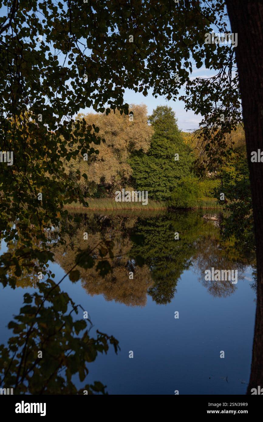 Golden autumn colors mirror hi-res stock photography and images - Alamy