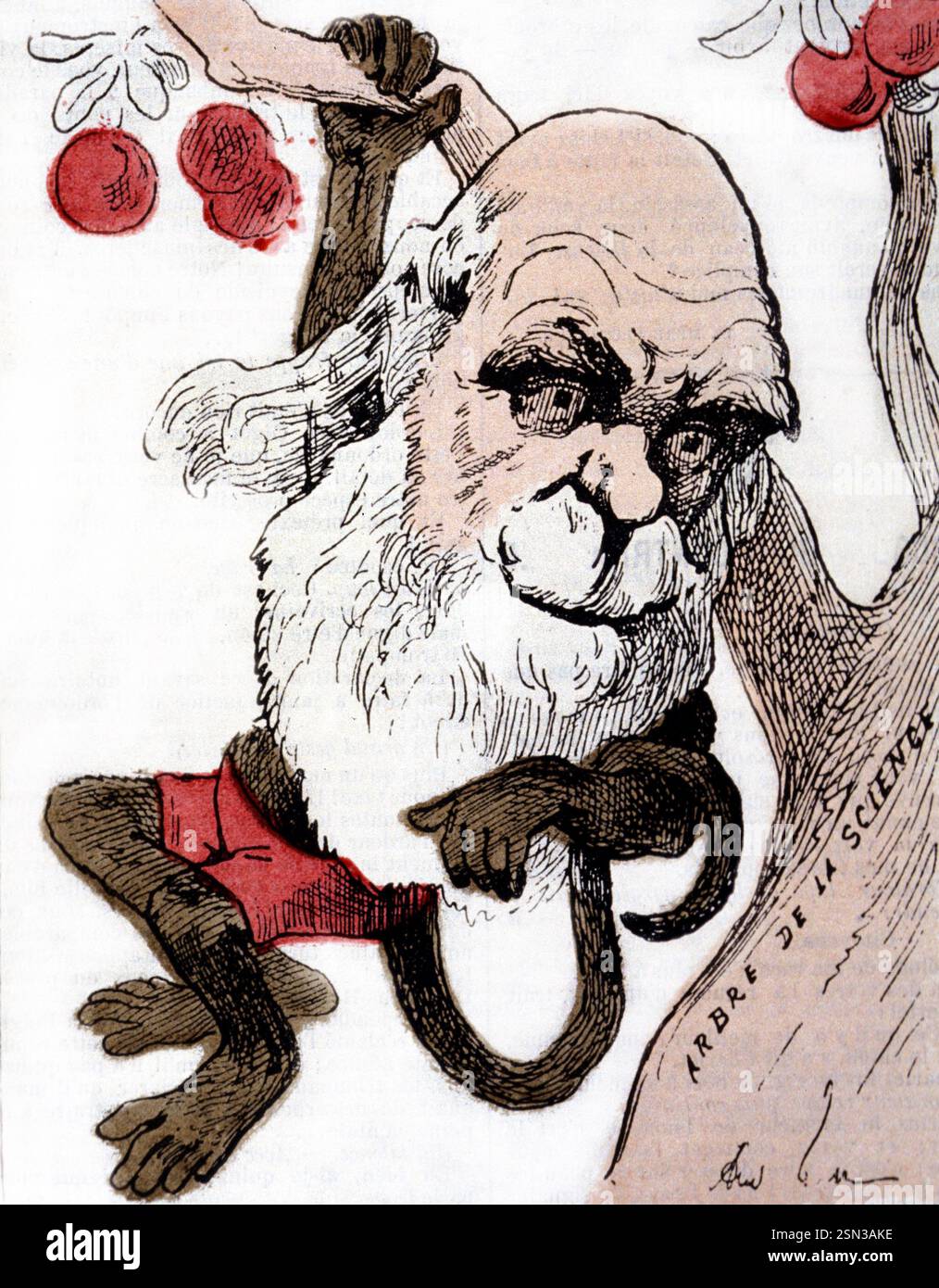 Parisian satirical magazine hi-res stock photography and images - Alamy