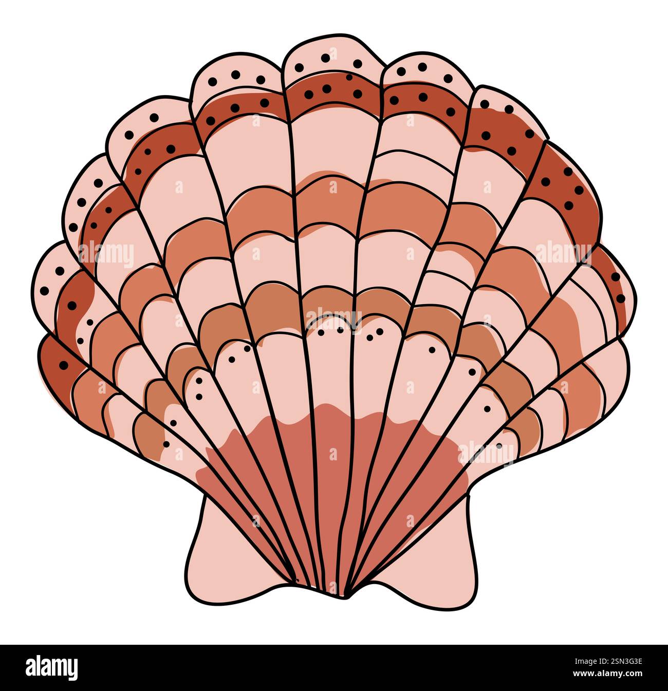 Sea shell, clam. Marine undersea mollusc vector Stock Vector Image ...
