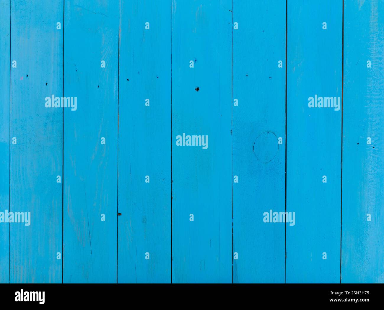 Bright blue wooden boards create a vibrant backdrop for creativity and ...