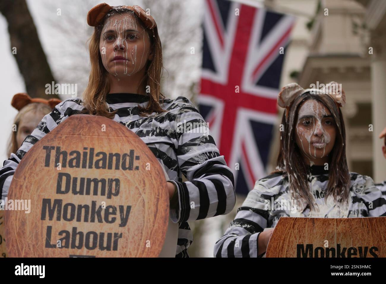 A troop of PETA "monkeys" in prisoner garb dump buckets full of ...
