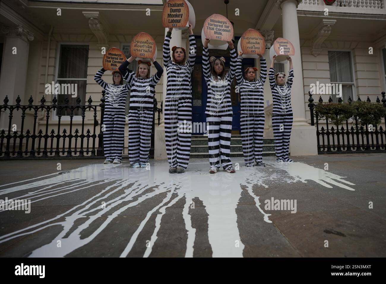 A troop of PETA "monkeys" in prisoner garb dump buckets full of ...
