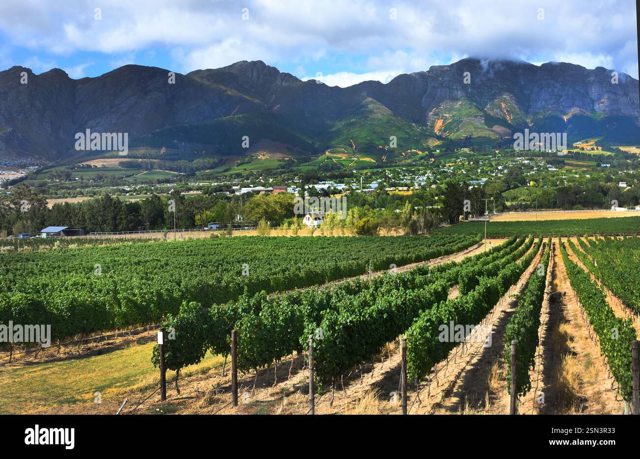 Vineyards of the Cape Winelands in the Franschhoek Valley in the ...