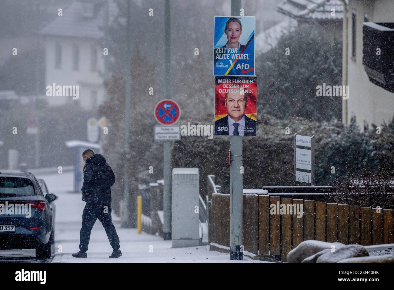 Election posters of Alice Weidel of the AfD and German Chancellor Olaf ...