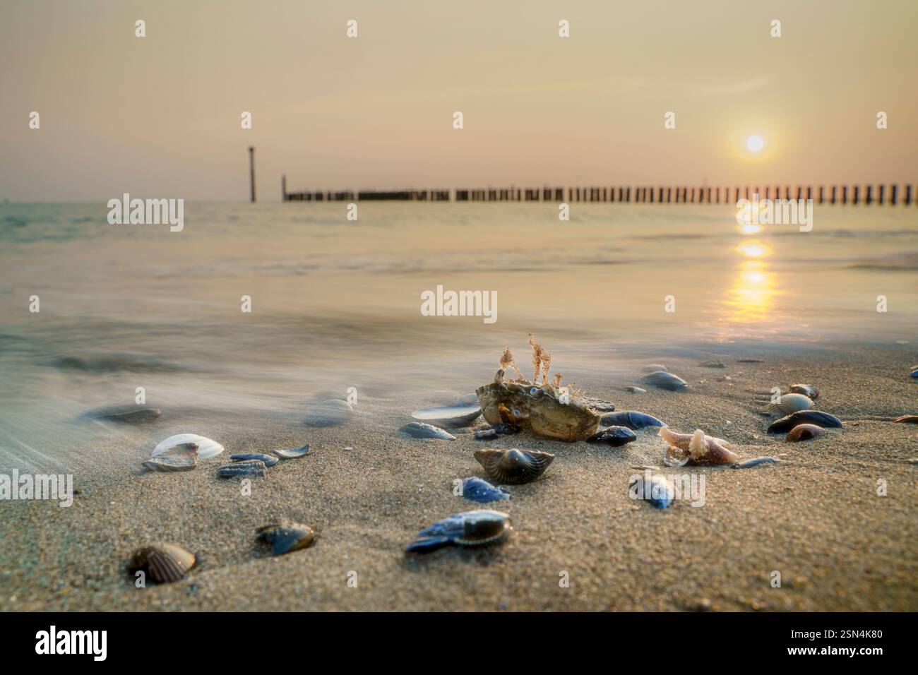 Strange sensation while empty exoskeleton makes you conscious by ...