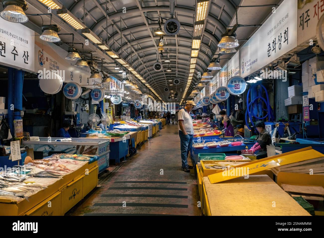 Fish stalls Dongmun Traditional Market; Jeju Island; South Korea Stock ...