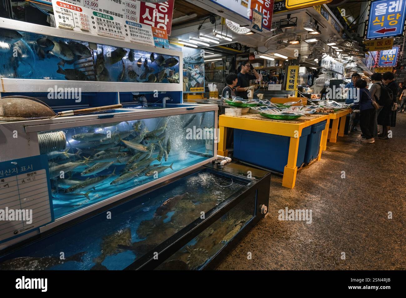 Fish market stall at Dongmun Traditional Market, Jeju Island, South ...