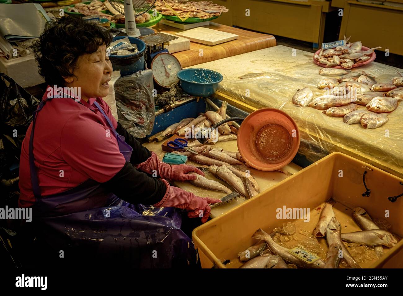 Korean woman selling fresh fish on the market in Jeju island South ...