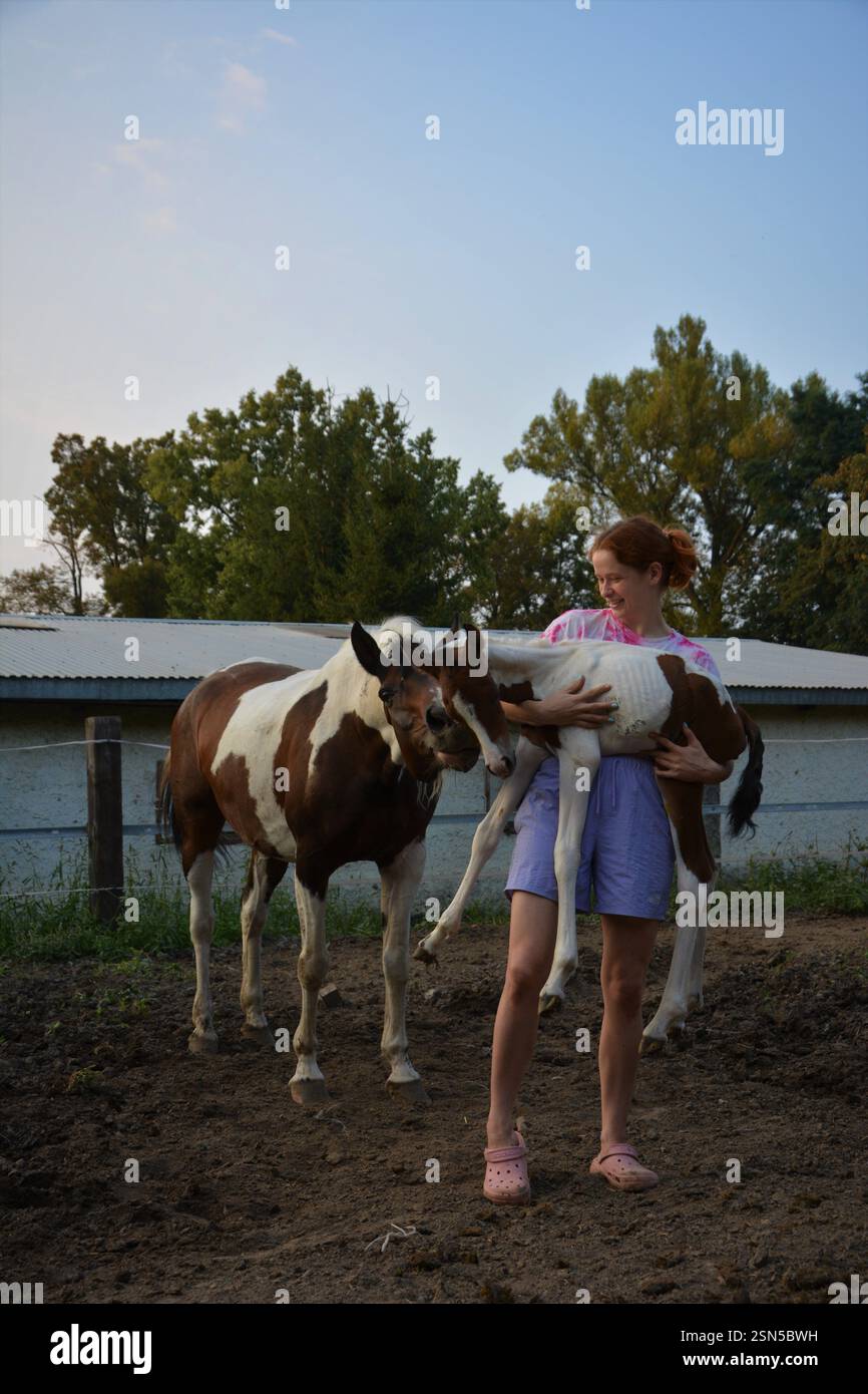 girl with little pinto foal and mare Stock Photo - Alamy