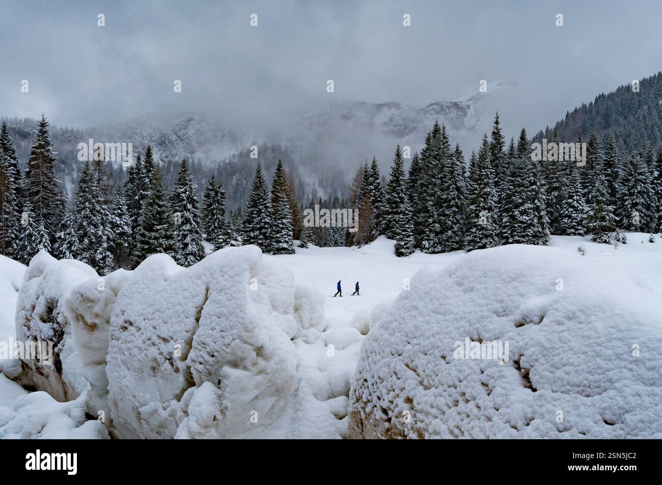 Snow-covered landscape with two people trekking with snowshoes through ...