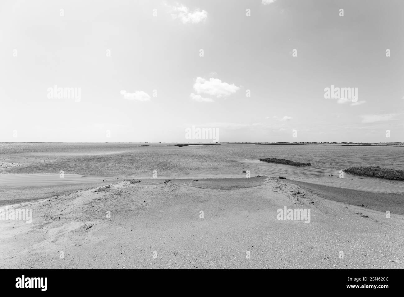 Black and white photo of a basin with sandy beach in the Camargue ...