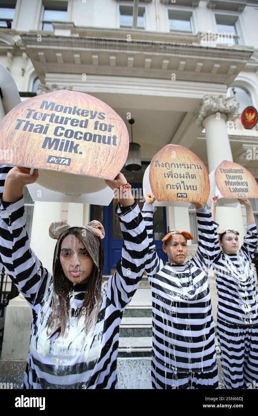 London, England, UK. 13th Feb, 2025. Activists from animal rights group ...