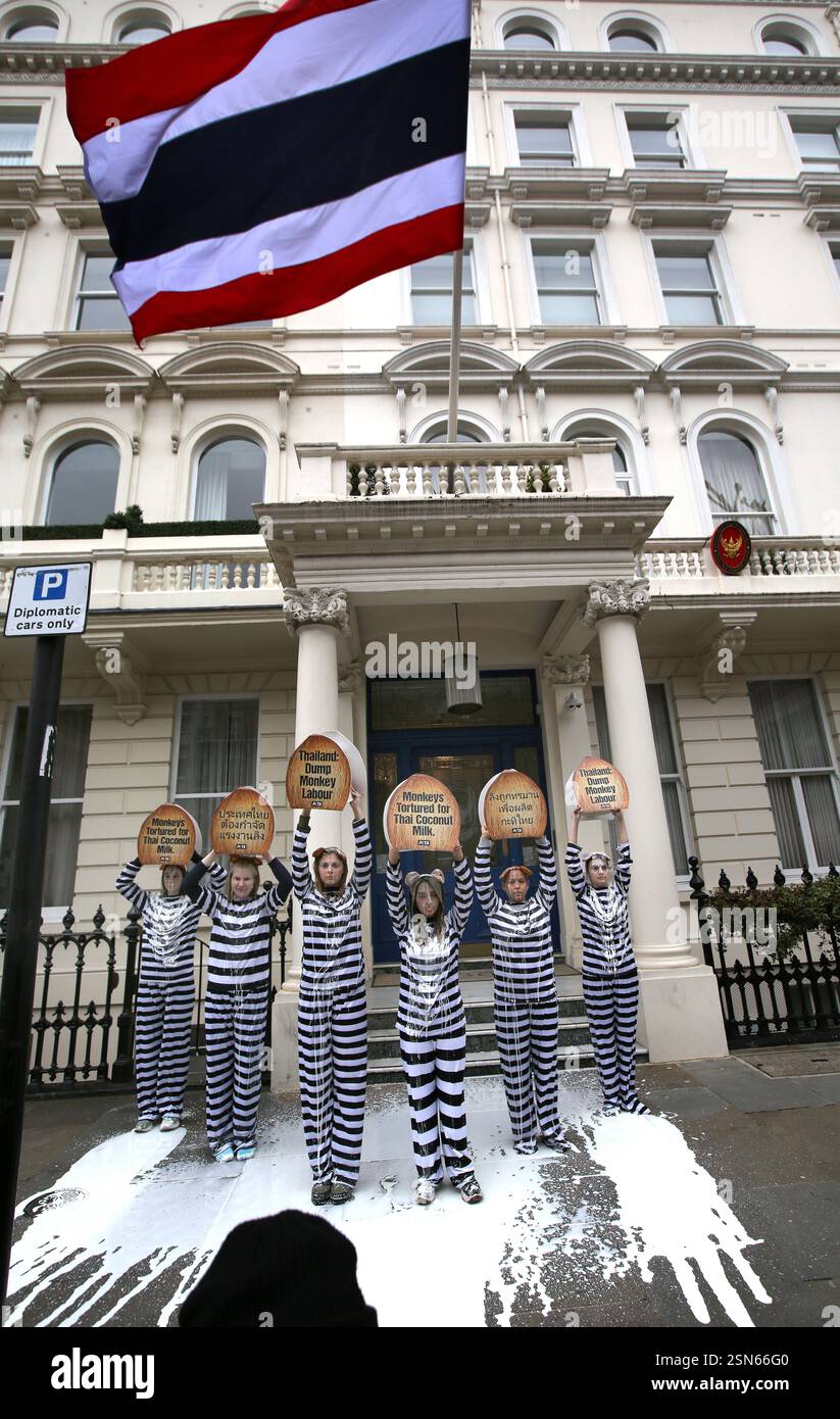 London, England, UK. 13th Feb, 2025. Activists from animal rights group ...