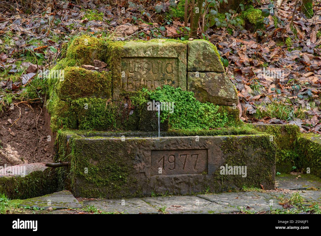 Ancient Forest Spring Water Source: Moss-Covered Stone Construction ...