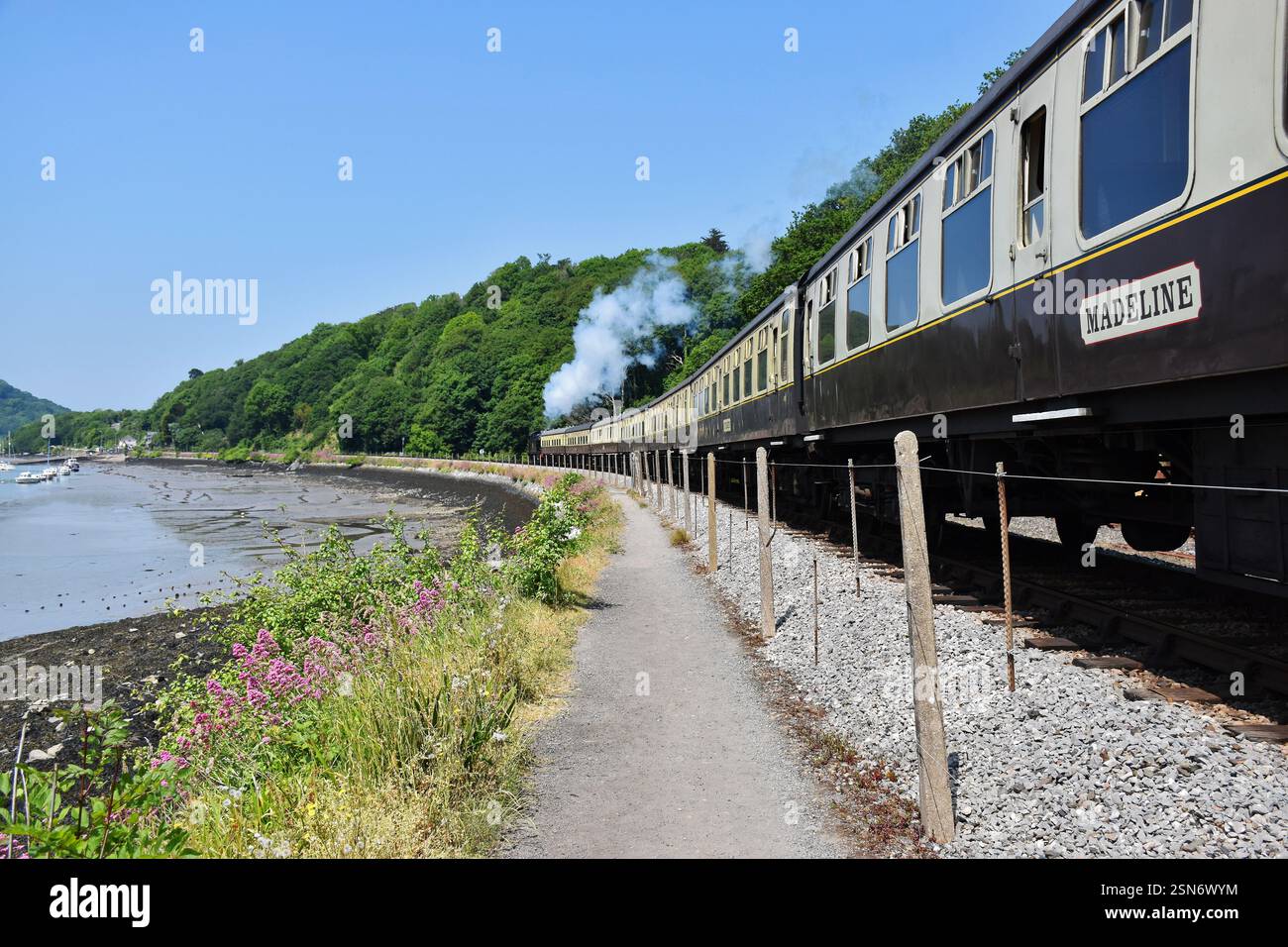 Dartmouth Steam Railway, South West Coast Path, Devon Stock Photo - Alamy