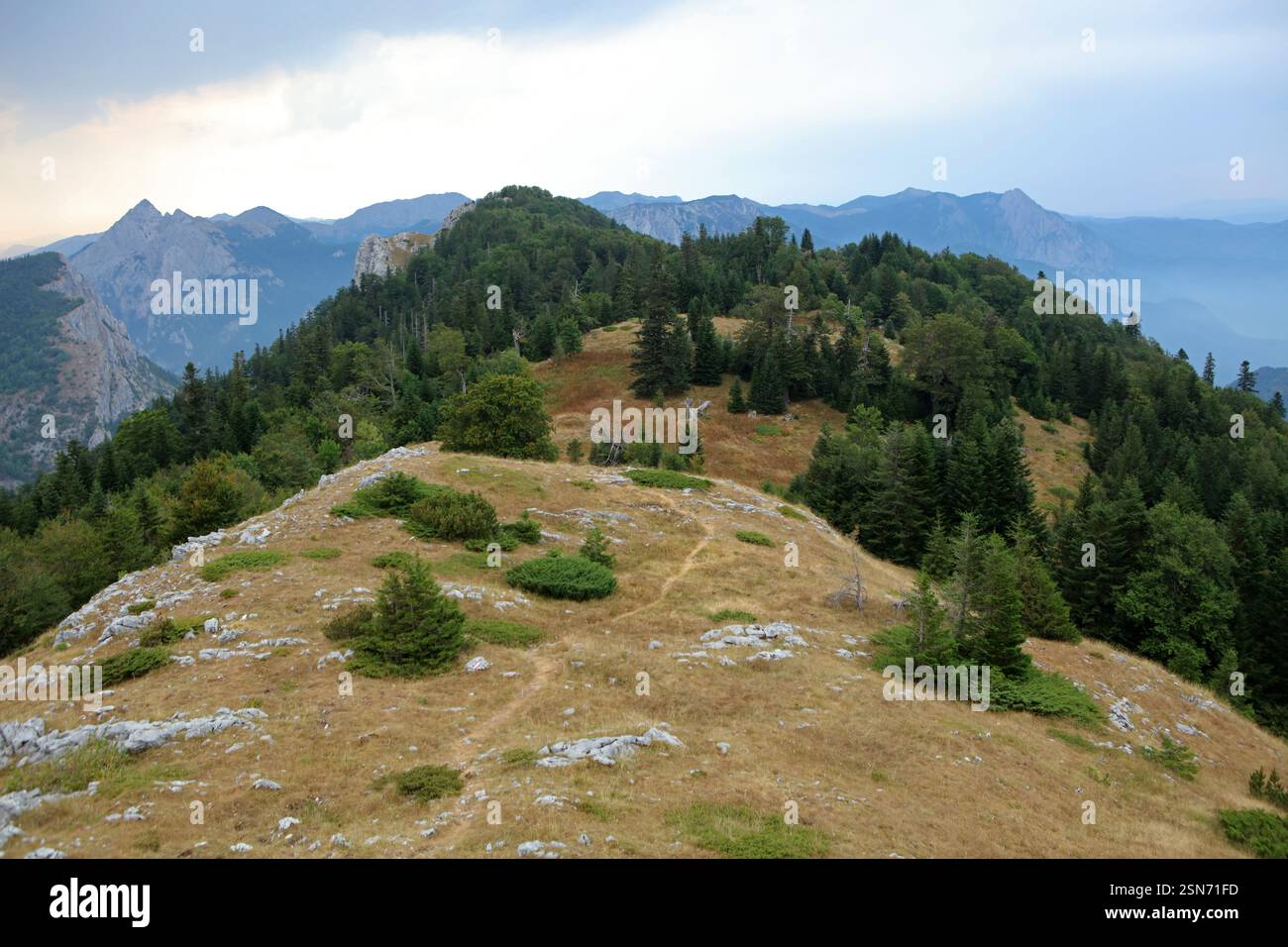 Hiking path and mountain landscape in Sutjeska National Park near ...
