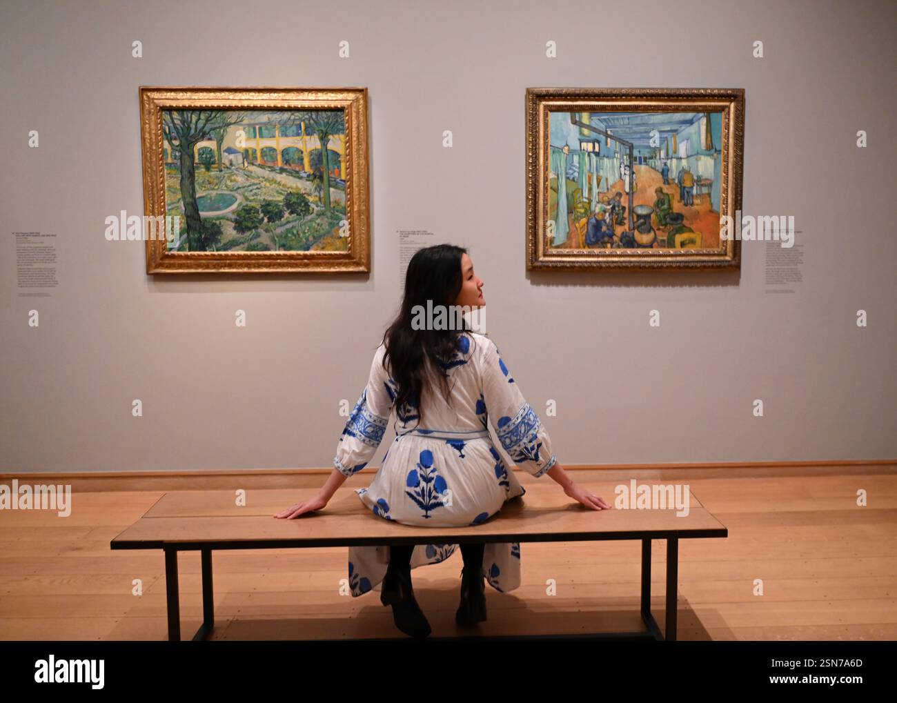 The only paintings by Van Gogh of the hospital in Arles in southern ...