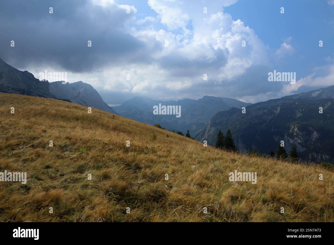 Hiking path and mountain landscape in Sutjeska National Park near ...