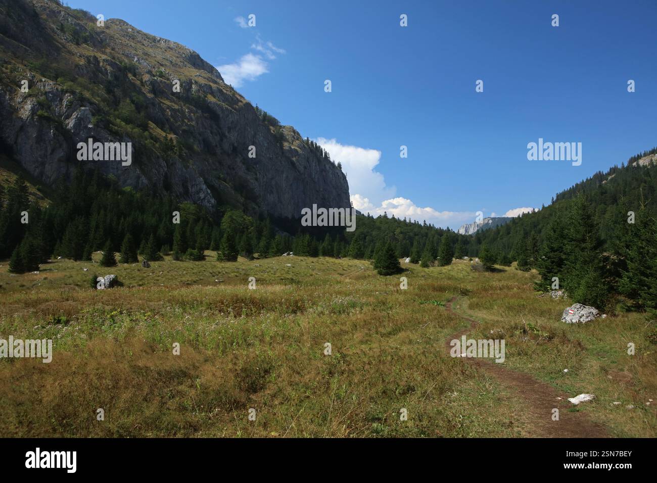 Hiking path and mountain landscape in Sutjeska National Park near ...