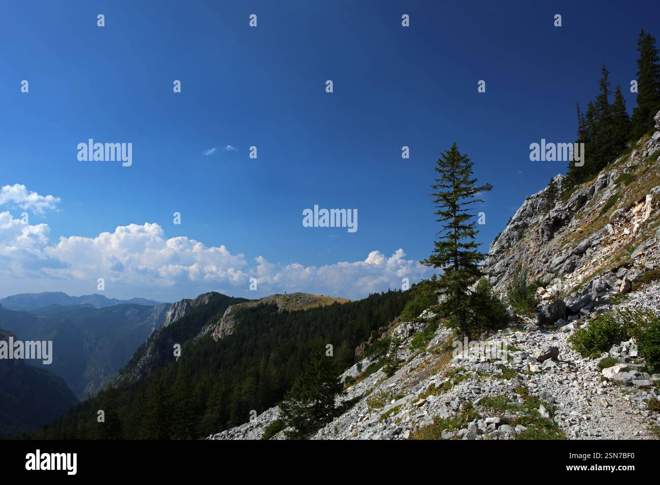 Hiking path and mountain landscape in Sutjeska National Park near ...