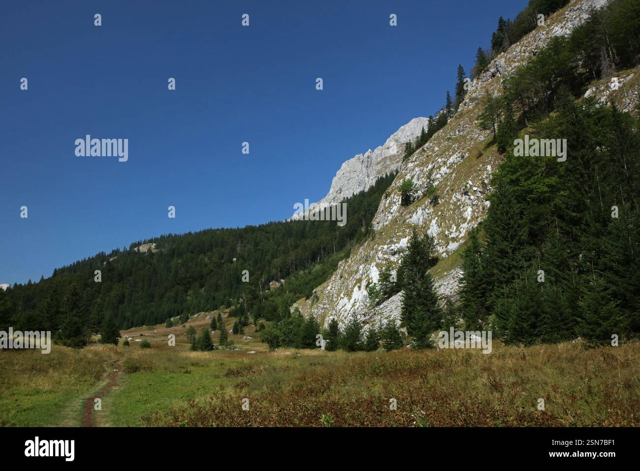 Hiking path and mountain landscape in Sutjeska National Park near ...