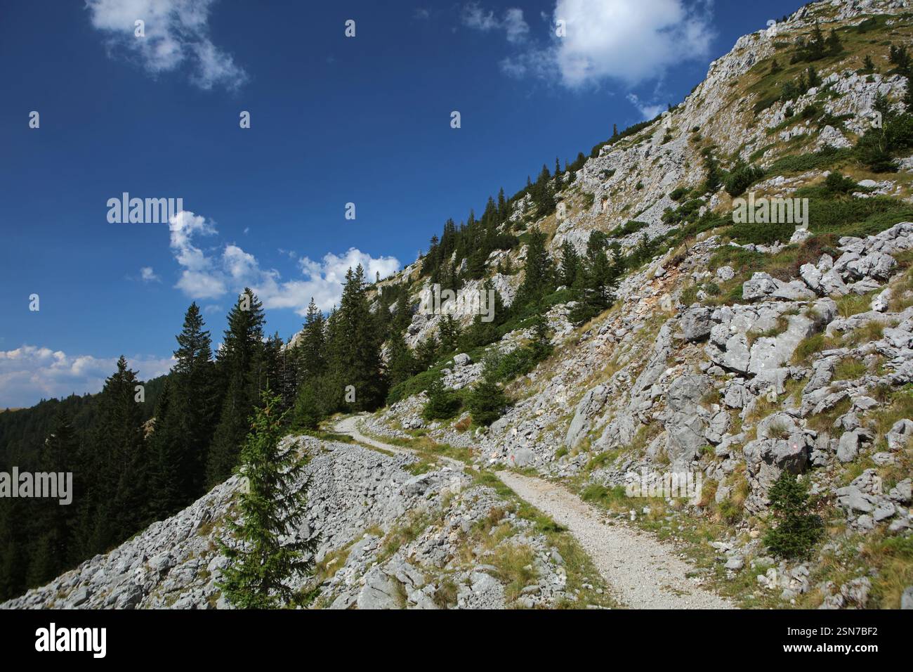 Hiking path and mountain landscape in Sutjeska National Park near ...