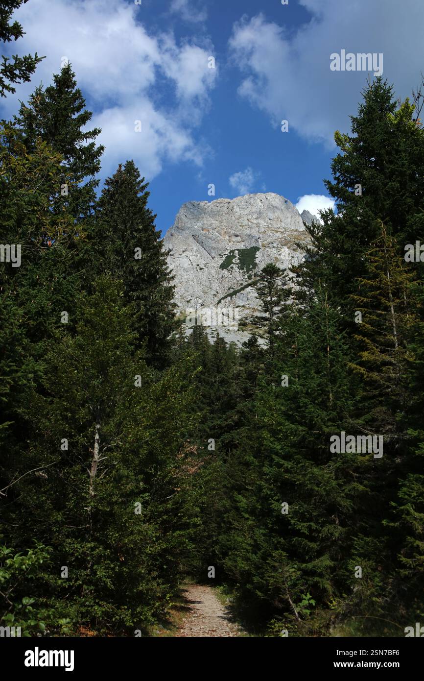 View of Maglic peak in Sutjeska National Park, highest mountain in ...