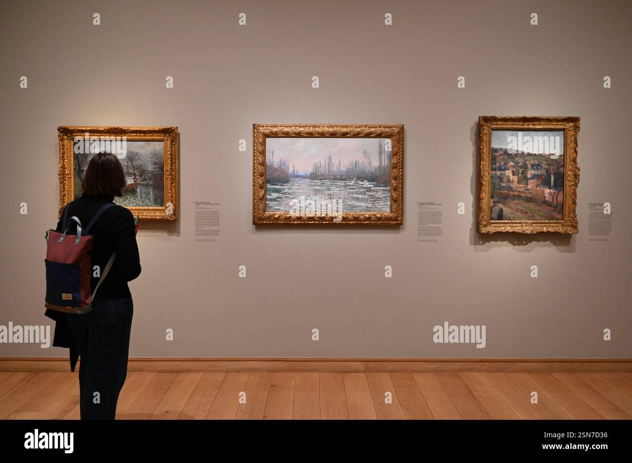 The only paintings by Van Gogh of the hospital in Arles in southern ...