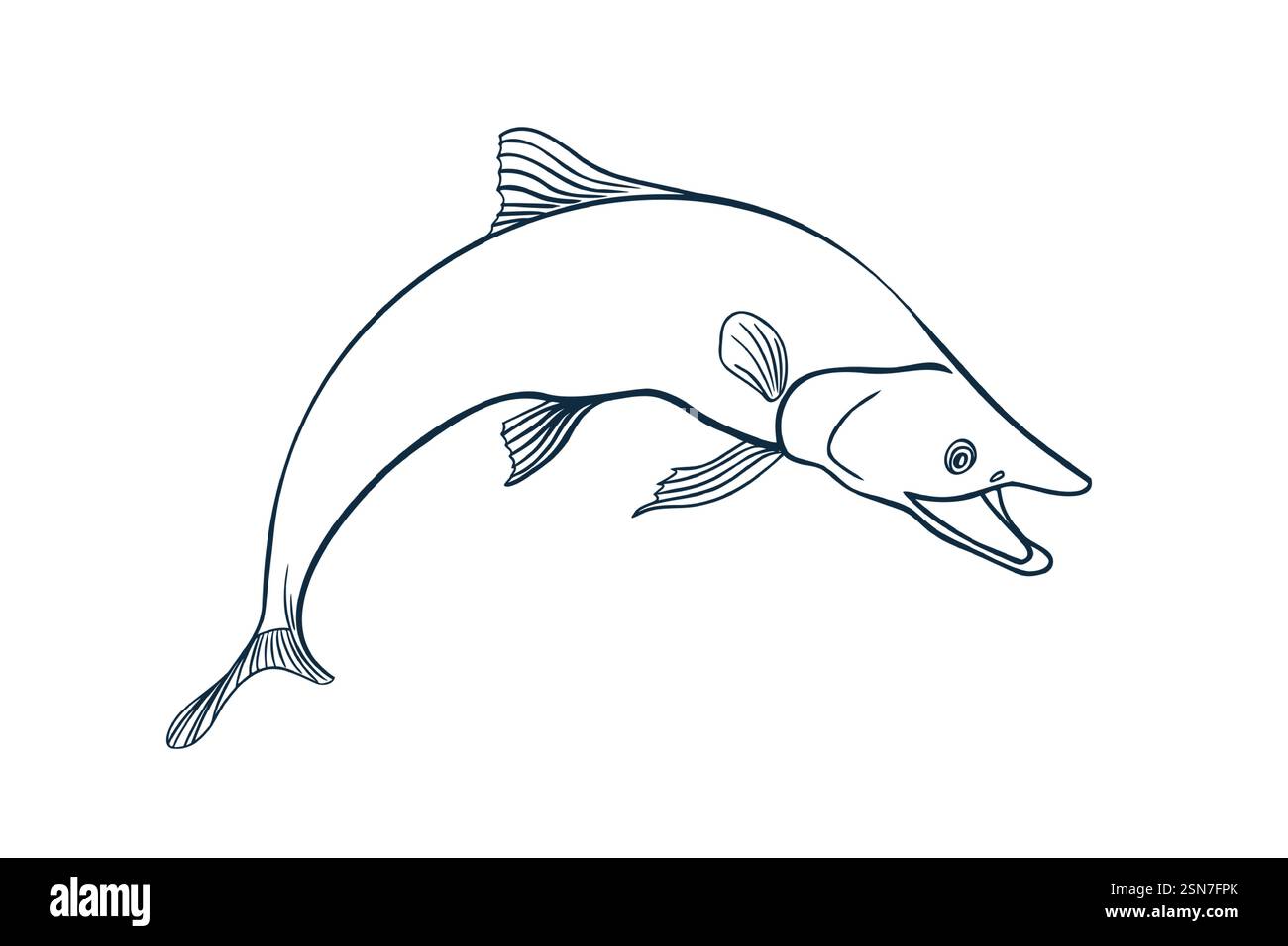 Single salmon black white vector illustration. Trout silhouette hand ...