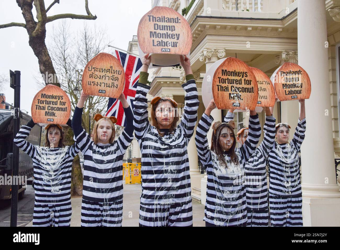 London, UK. 13th February 2025. PETA activists dressed as monkeys in ...
