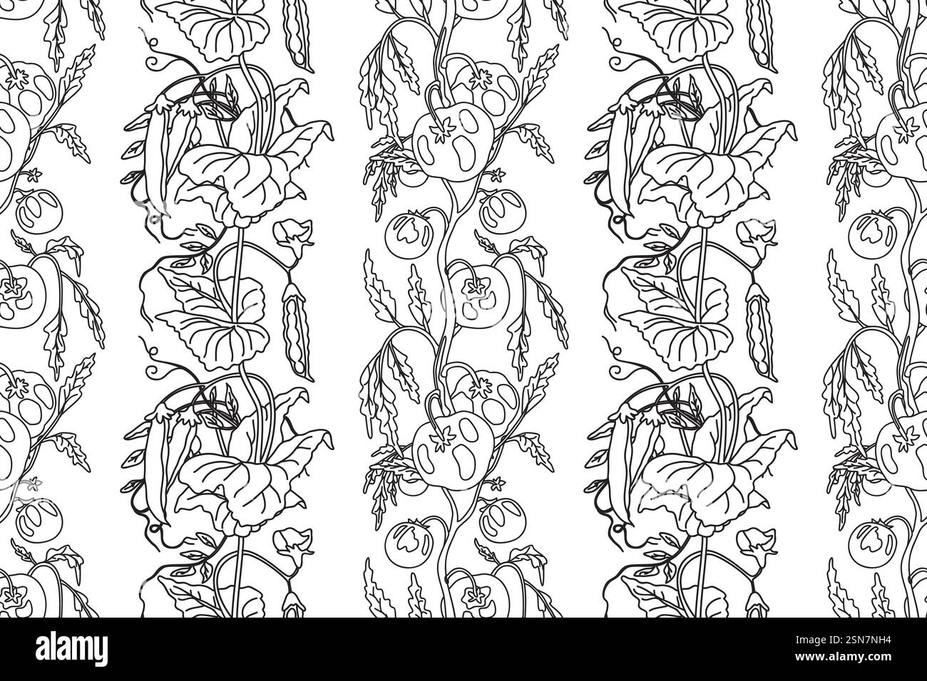 Line art abstract seamless pattern with growing tomatoes and peas ...