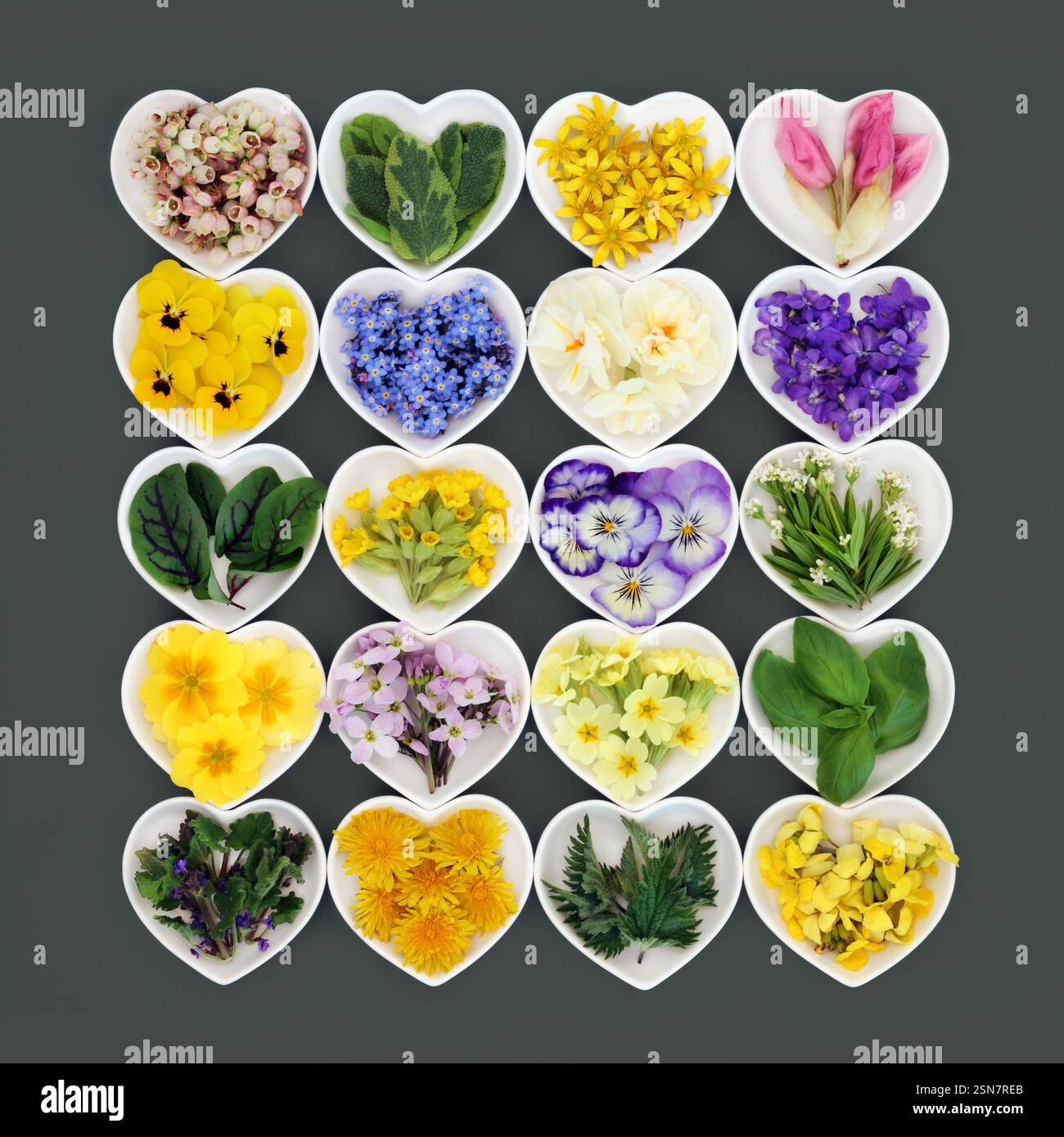 Romantic edible Spring wildflower and flower collection in heart shape ...