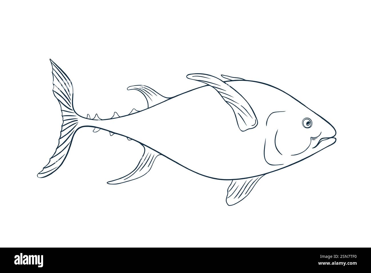 Single tuna fish black white vector illustration. Sea fish sketch hand ...