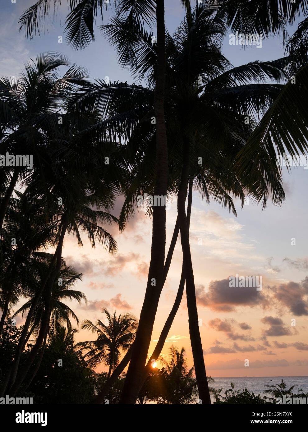 Maldives maafushi island beach people hi-res stock photography and ...
