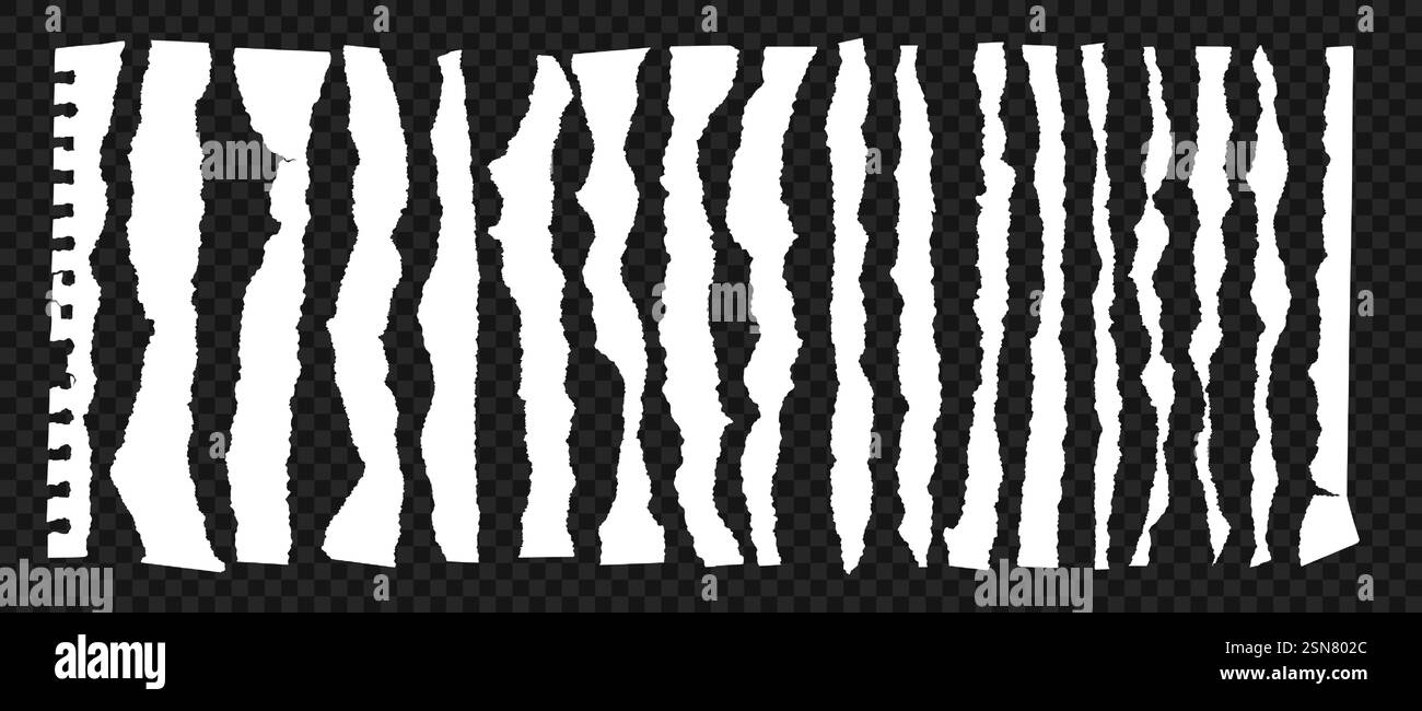 Torn paper edge. Realistic torn papers strips with ripped edges. White ...