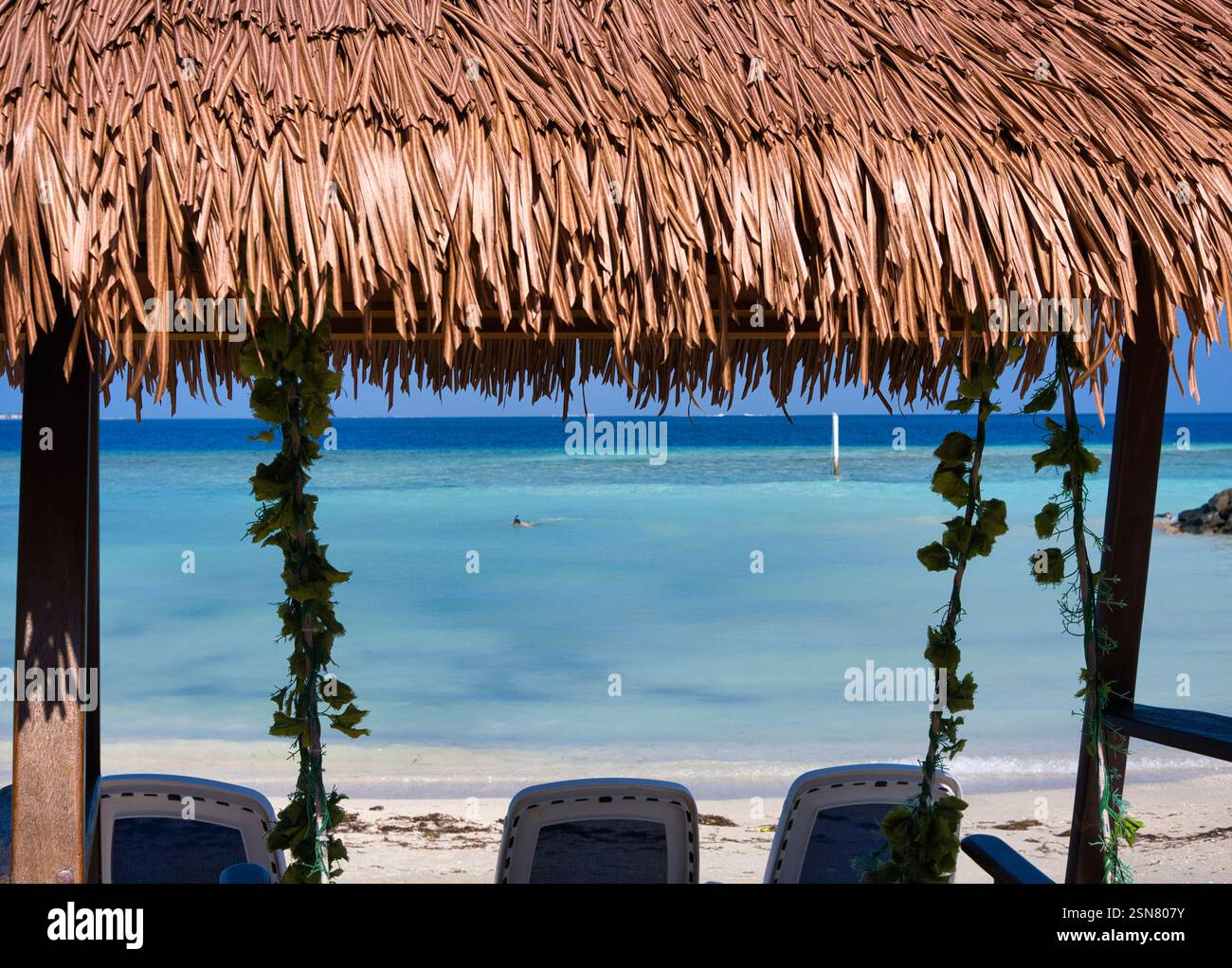 Wing at the Bikini beach in Maafushi,Maldives Stock Photo - Alamy