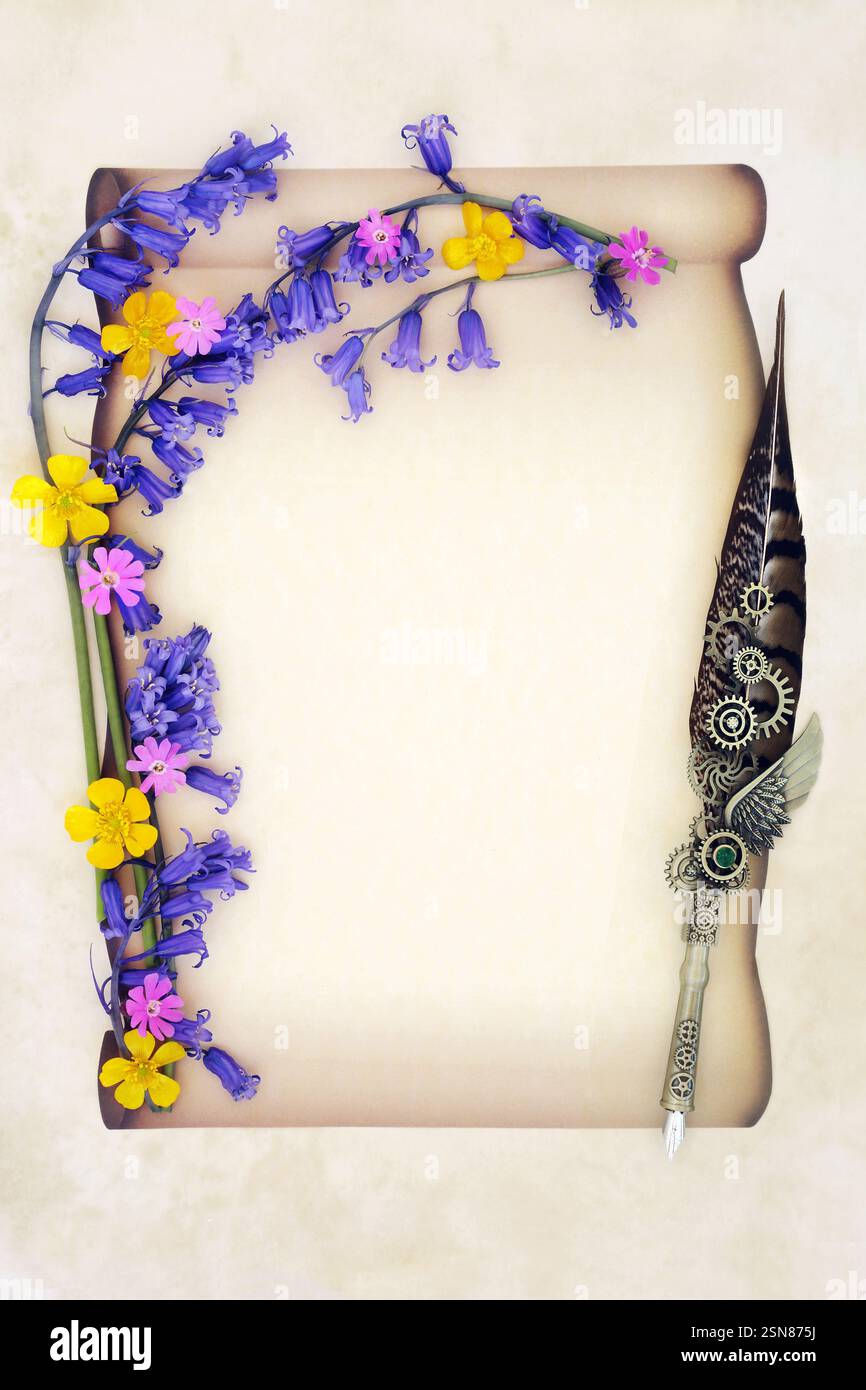 Spring flower bluebell buttercup red campion flowers on scroll border ...