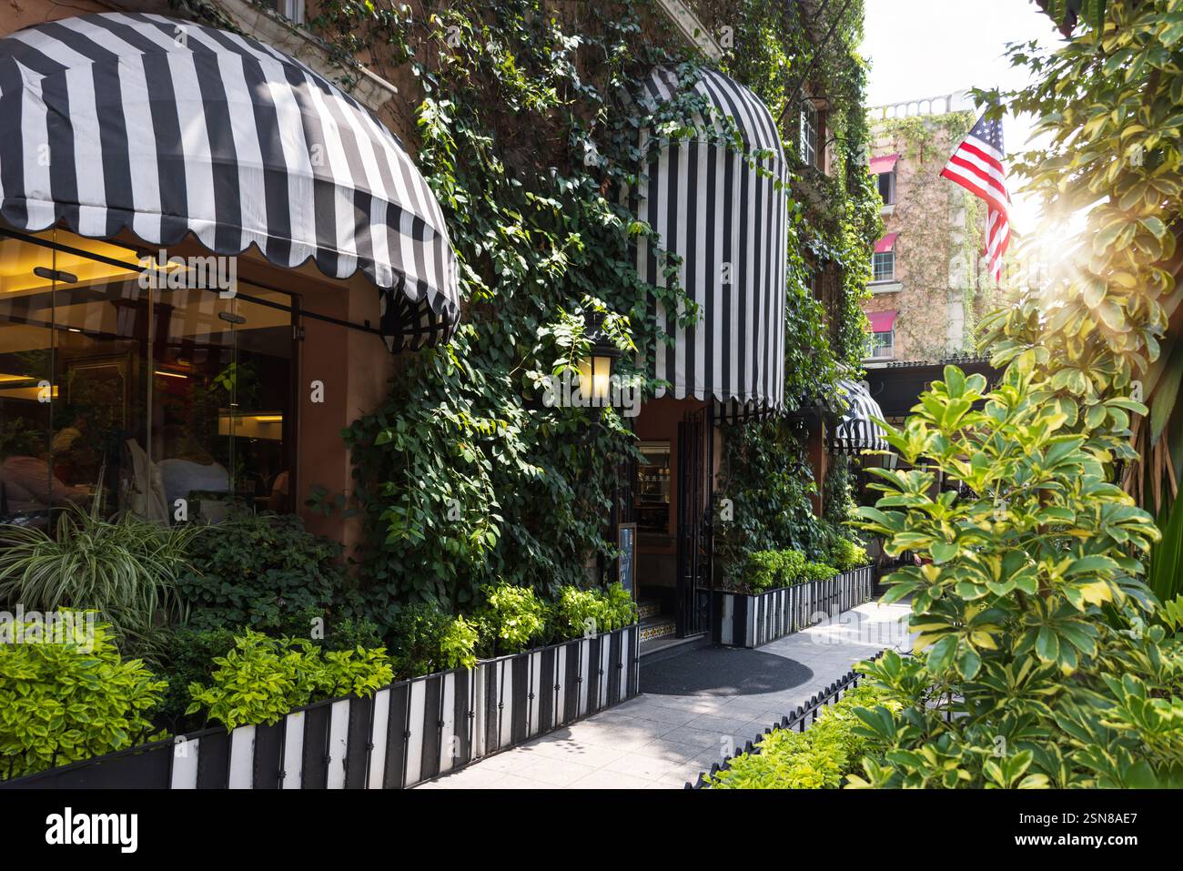 Mexico City streets in historic center near Roma and Condesa ...