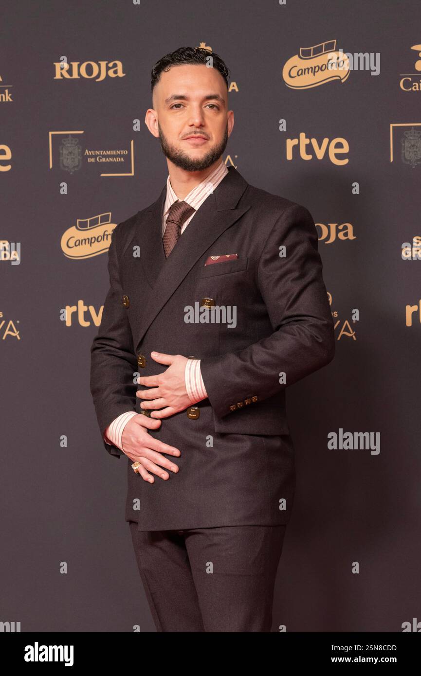 Ganada, Spain February 08, 2025, actor C. Tangana attends the 39th ...
