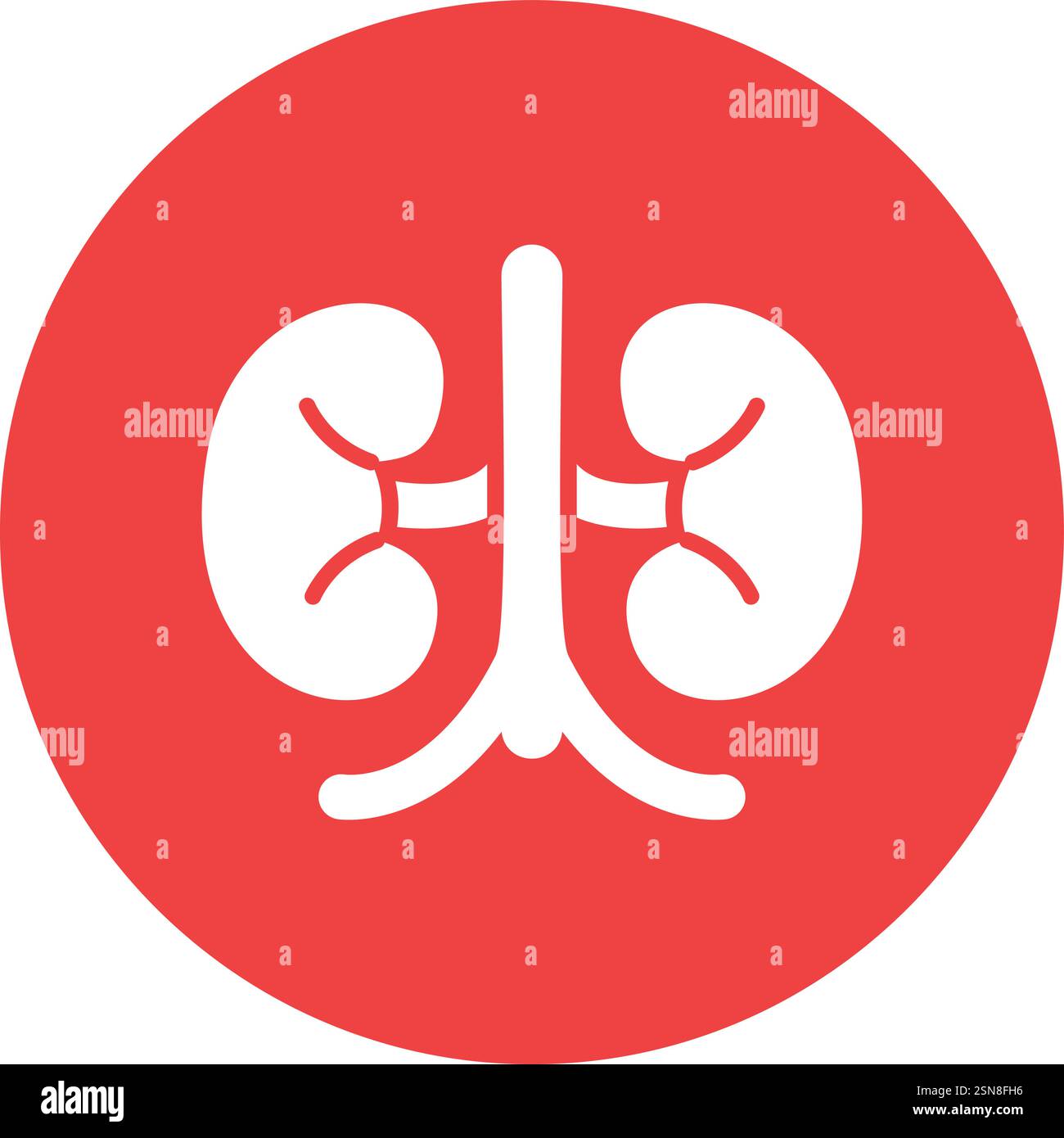 Kidney Vector Icon Design Illustration Stock Vector Image & Art - Alamy