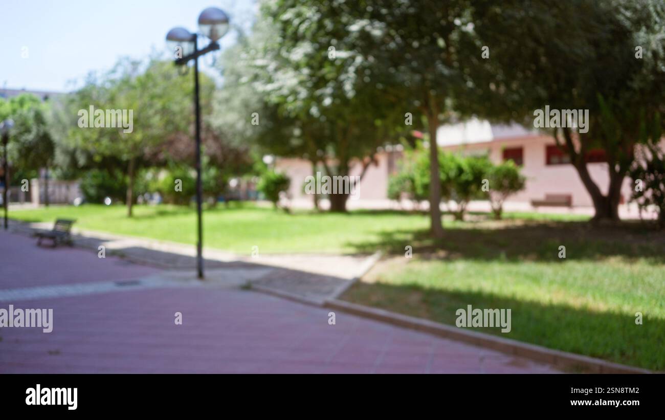 Outdoor blurry photo with defocused background of park featuring green ...