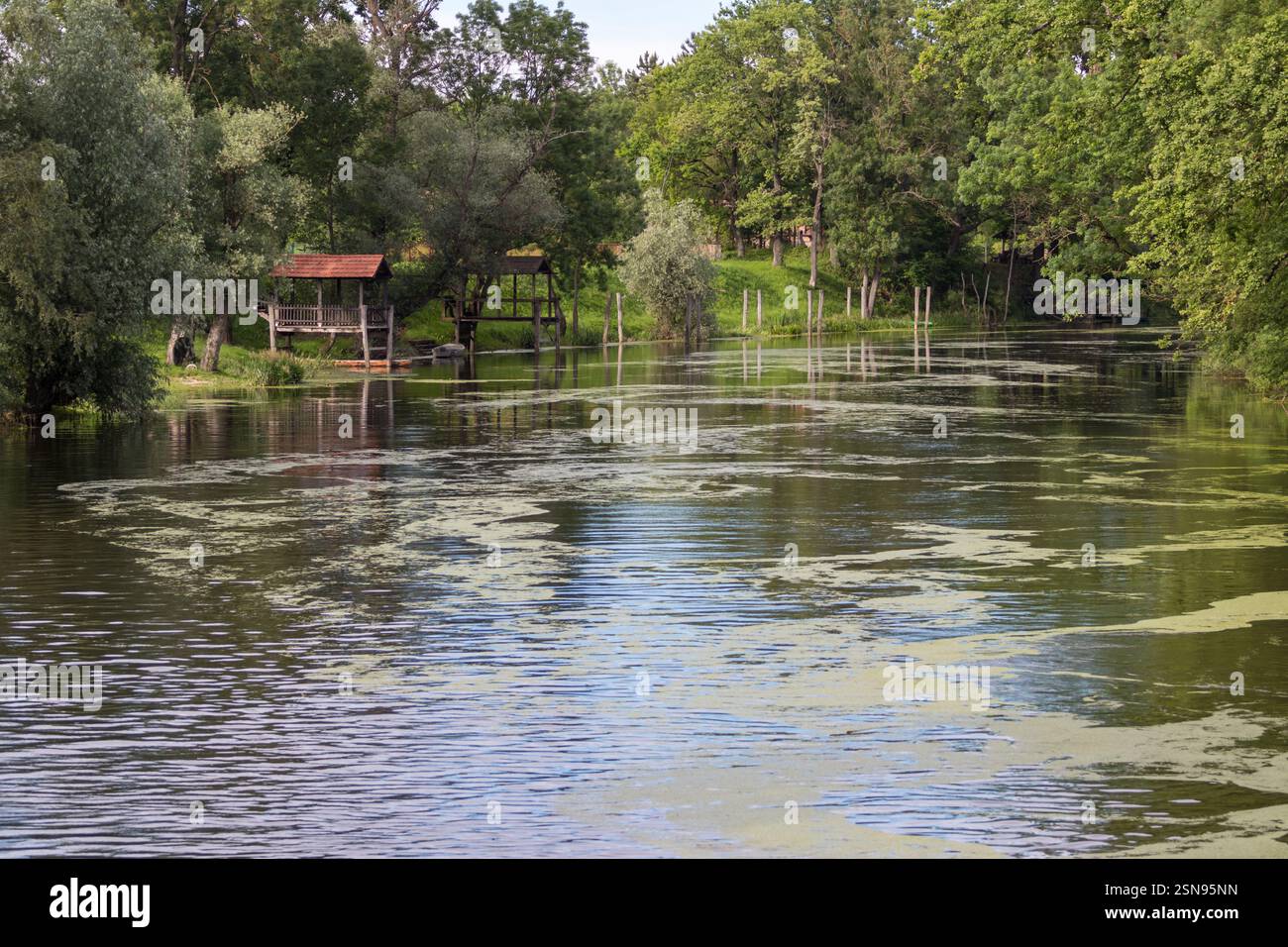 A serene riverside landscape featuring trees, calm waters, and a wooden ...