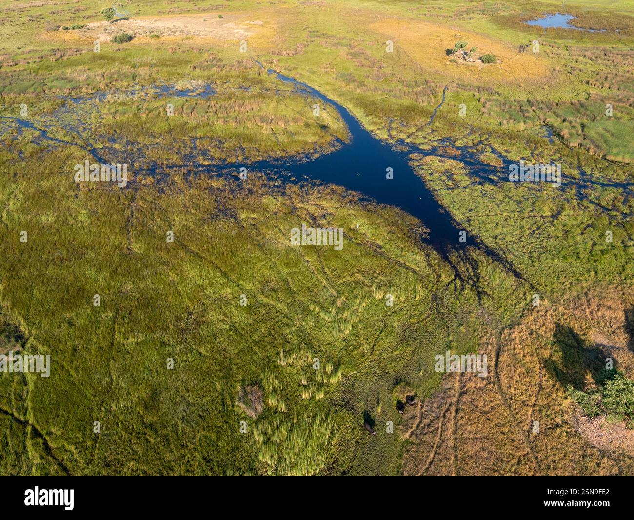 Okavango landscape in Botswana. Flight from Maun to the Okavango Delta ...