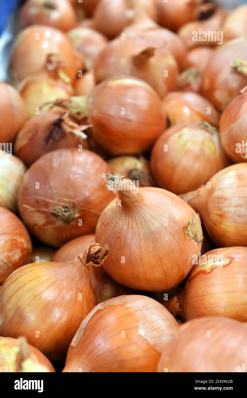 Onions are washed and processed at a production plant, UK Stock Photo ...
